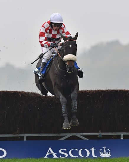 Puffin Billy Leighton Aspell Takes Last Editorial Stock Photo - Stock ...