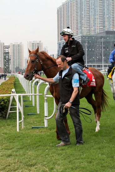Criterion During Morning Trackwork Sha Tin Editorial Stock Photo ...