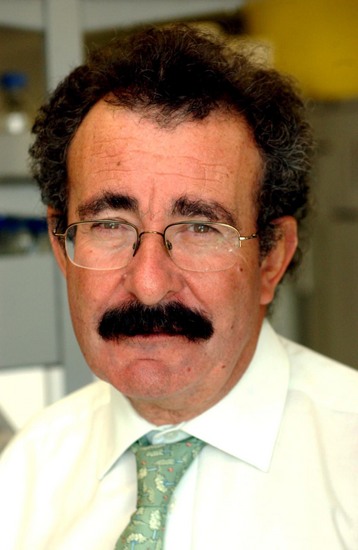 Lord Robert Winston Editorial Stock Photo - Stock Image | Shutterstock