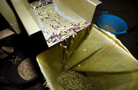 Sorting Nuts Editorial Stock Photo - Stock Image | Shutterstock