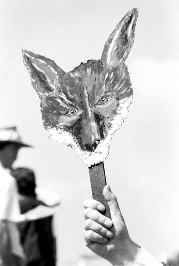 Countryside Rally Hyde Park London Britain Editorial Stock Photo ...