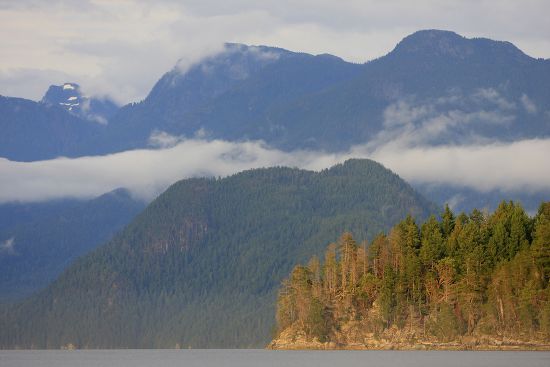 View Coastline Temperate Rainforest Habitat Desolation Editorial Stock ...