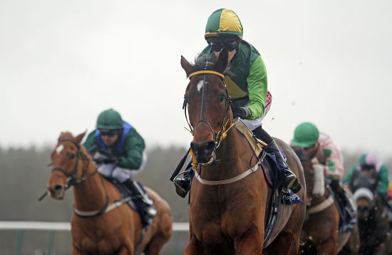 Sabre Rock Shelley Birkett Wins Coralco Editorial Stock Photo - Stock ...