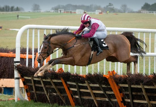 Shane Butler On Golden Palin Clears Editorial Stock Photo - Stock Image ...