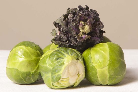 Kalette Sprout Traditional Sprouts Editorial Stock Photo - Stock Image ...