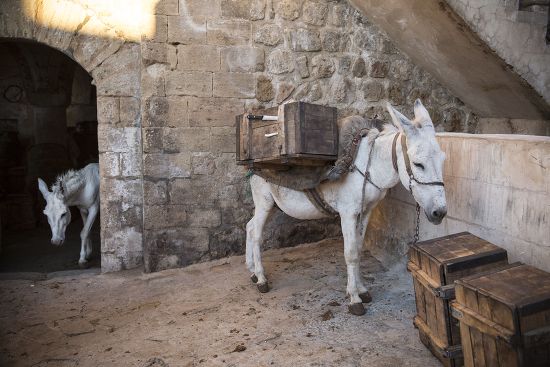 Donkeys Kept Stall Inside Old Stone Editorial Stock Photo - Stock Image ...