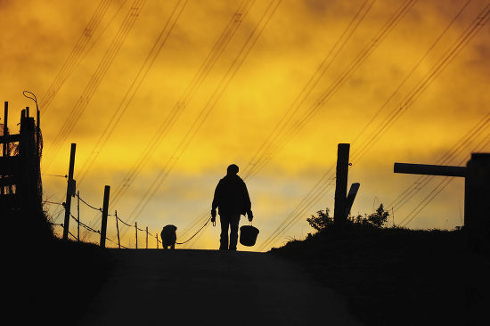 Man Dog Walking Along Path Evening Editorial Stock Photo - Stock Image ...