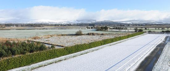 Dundalk All Weather Track Shows Picture Editorial Stock Photo - Stock ...