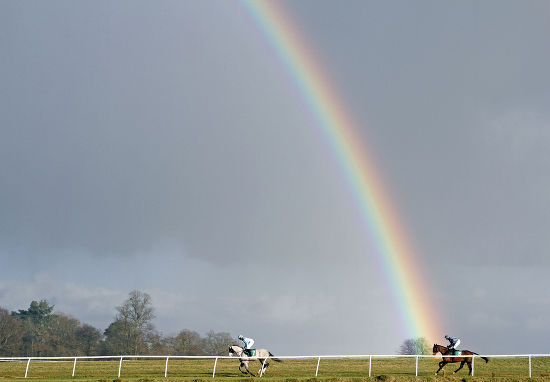 Horses Canter Start Fifth Race Chepstow Editorial Stock Photo - Stock ...