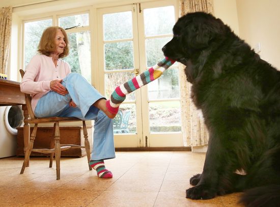 Hazel Carter Chloe Her Very Clever Editorial Stock Photo - Stock Image ...