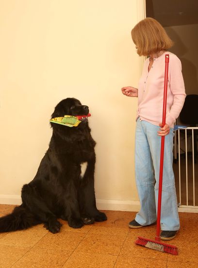 Hazel Carter Chloe Her Very Clever Editorial Stock Photo - Stock Image ...