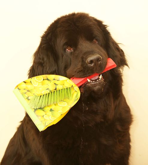 Hazel Carter Chloe Her Very Clever Editorial Stock Photo - Stock Image ...