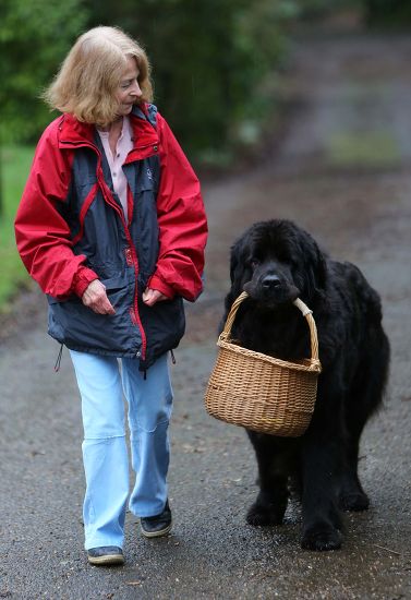 Hazel Carter Chloe Her Very Clever Editorial Stock Photo - Stock Image ...