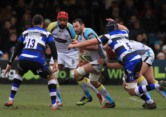 Joe Bearman Ospreys Takes On Tom Editorial Stock Photo - Stock Image ...