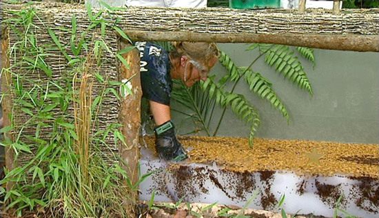 Alex Best During Bush Tucker Challenge Editorial Stock Photo - Stock ...