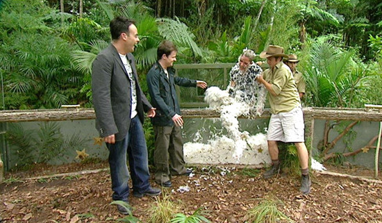 Alex Best After Bush Tucker Challenge Editorial Stock Photo - Stock ...