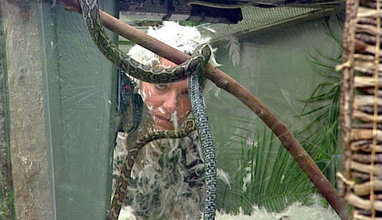 Alex Best During Bush Tucker Challenge Editorial Stock Photo - Stock ...