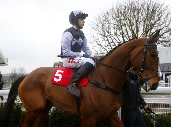 Capt Guy Disney Ballyallia Before Running Editorial Stock Photo - Stock ...