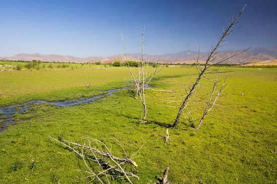 Empty Lake Bed Lake Success Near Editorial Stock Photo - Stock Image ...
