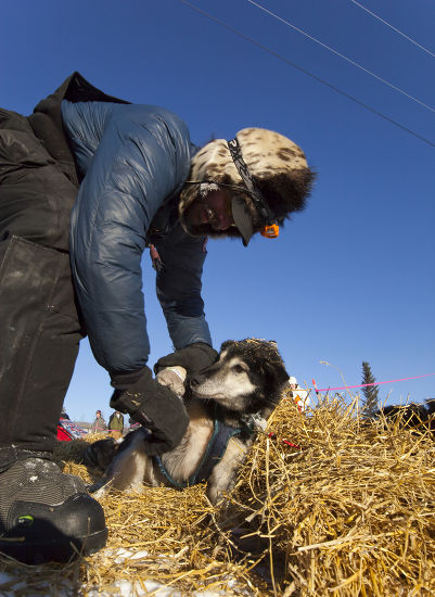 4 Time Champion Lance Mackey Seal Editorial Stock Photo - Stock Image ...