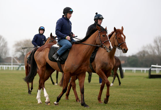 Faugheen Robbie Oconnor Ruby Walsh Annie Editorial Stock Photo - Stock ...