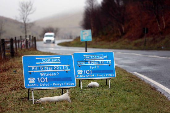 Police Witness Appeal Signs On A470 Editorial Stock Photo - Stock Image ...