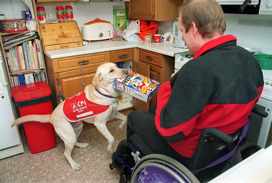 Allen Parton Who Injured Gulf War Editorial Stock Photo - Stock Image ...