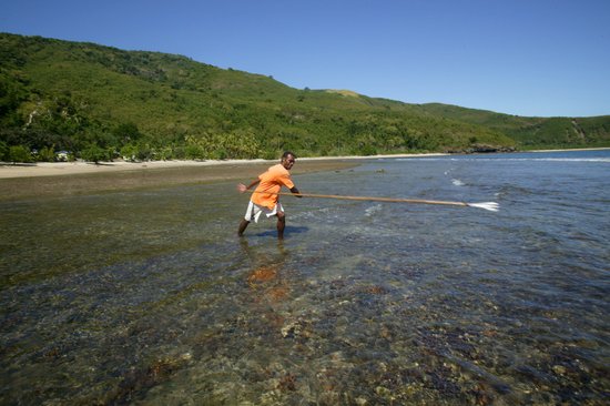 Spear Fishing Naviti Fiji Editorial Stock Photo - Stock Image ...