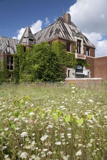 Weeds Taking Over Brewer Recreation Center Editorial Stock Photo ...