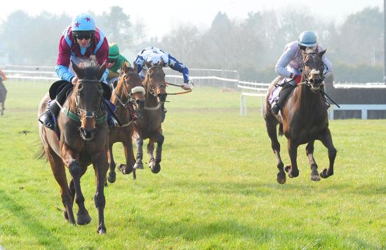 Wexford Westerner Point Left Philip Enright Editorial Stock Photo ...