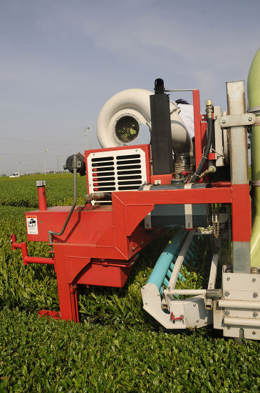 Tea Harvesting Machine Harvester Use Biggest Editorial Stock Photo ...