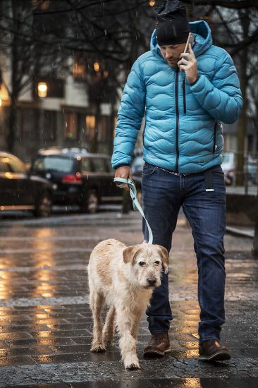 Arthur Stray Dog His Owner Mikael Editorial Stock Photo - Stock Image ... Arthur Stray Dog His Owner Mikael Editorial Stock Photo - Stock Image ...