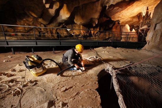 Chauvetpontdarc Cave Replica Under Construction Editorial Stock Photo ...