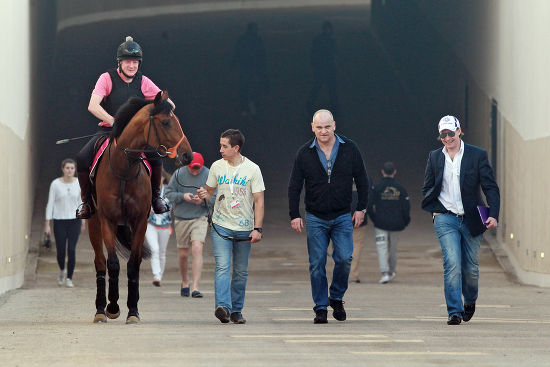 Dubai Faithful Creek Trainer Brian Meehan Editorial Stock Photo - Stock ...