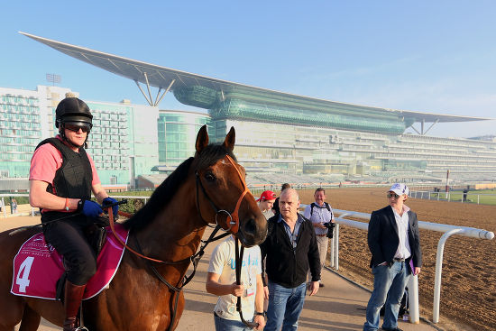 Dubai Faithful Creek Trainer Brian Meehan Editorial Stock Photo - Stock ...