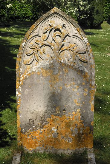 Old Grave Stone Relief Tree Life Editorial Stock Photo - Stock Image ...