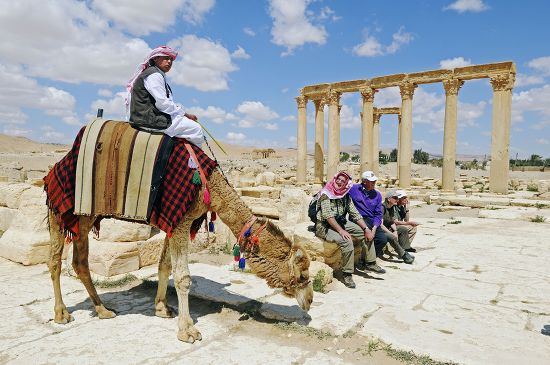 Camel Guide Tourists Ruins Palmyra Archeological Editorial Stock Photo ...