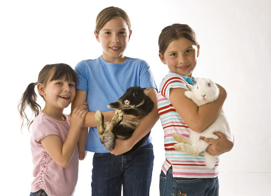 Model Released Group Three Girls Two Editorial Stock Photo - Stock ...