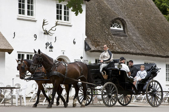 Sightseeing Hackney Carriage Danish Park Dyrehave Editorial Stock Photo ...