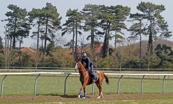 California Chrome Robbie Mills Having His Editorial Stock Photo - Stock ...