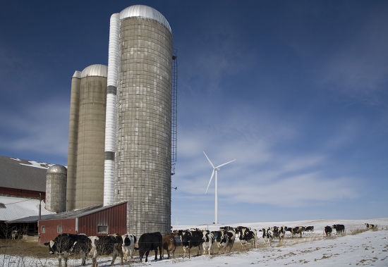 Wind Turbine On Farm Noble Thumb Editorial Stock Photo - Stock Image ...