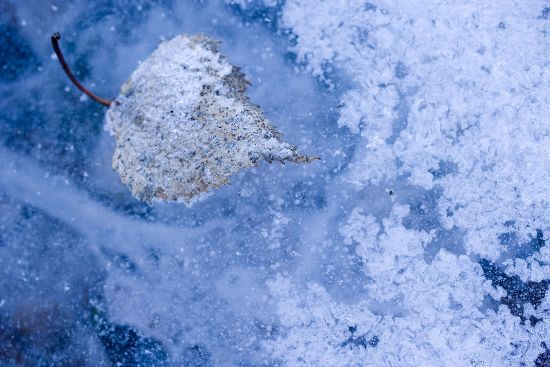 Detail Ice Cardos Valley Pyrenees Spain Editorial Stock Photo - Stock ...