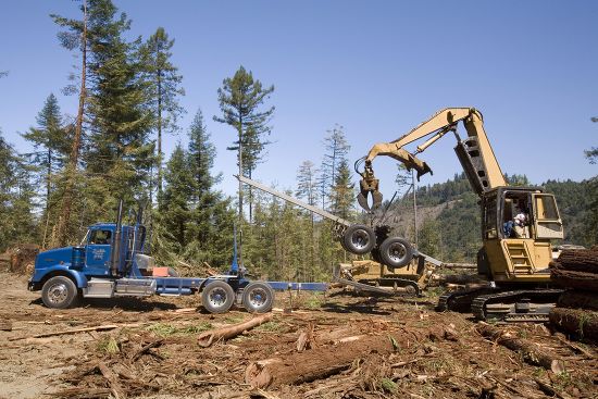 Logging Redwoods Fort Bragg Northern California Editorial Stock Photo ...