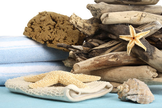 Bathing Paraphernalia Driftwood Editorial Stock Photo - Stock Image ...