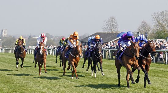 Go Dan Go 2nd Right Phillip Editorial Stock Photo - Stock Image ...