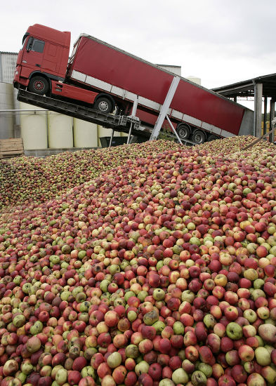 Lorry Truck Apples On Ramp Delivering Editorial Stock Photo - Stock ...
