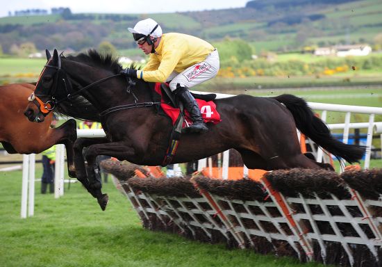 Punchestown Walk Freedom Robert Power Jump Editorial Stock Photo ...