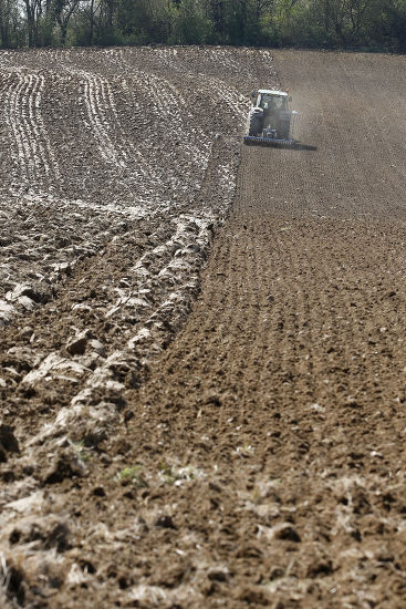 Farmer Prepares Seed Bed Maize Growing Editorial Stock Photo - Stock ...