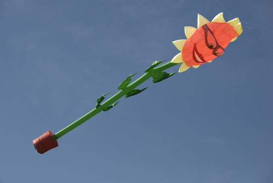 Giant Sunflower Kite Character International Kite Editorial Stock Photo ...