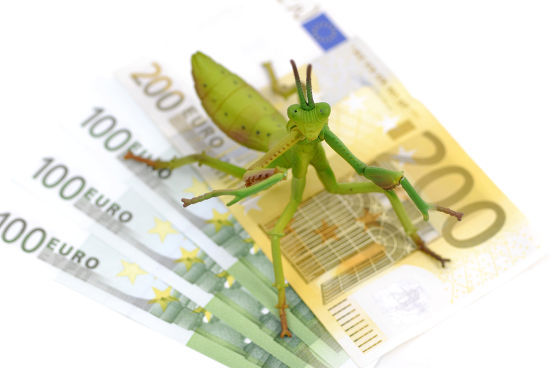 Locust On Bank Note Symbolic Image Editorial Stock Photo - Stock Image ...